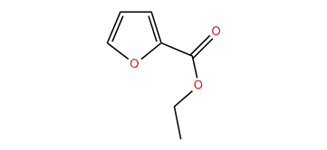 The Kovats Retention Index: Ethyl furan-2-carboxylate (C7H8O3)